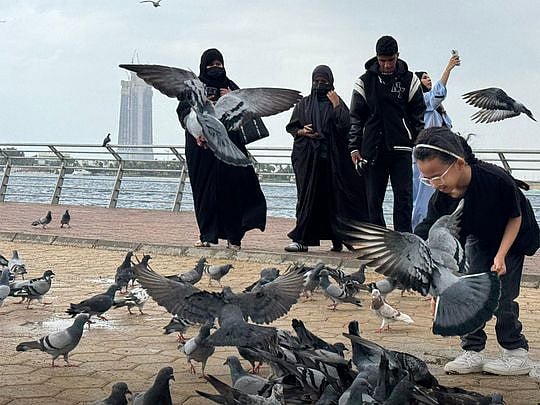 Winter officially begins in Saudi Arabia today, 89 days of cold weather ...