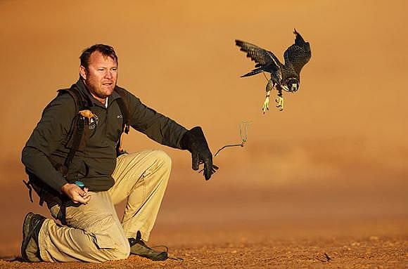 Meet the falconer: Pete Bergh