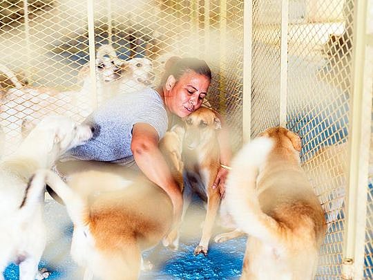 The teacher’s pets: the story of Fujairah’s tireless animal welfare hero