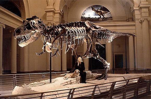 Sue Hendrickson: the fossil hunter