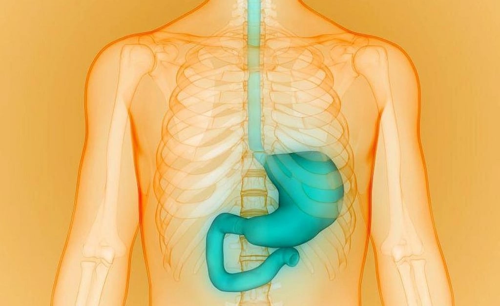 Durvalumab + FLOT Helpful for Resectable Gastric, GE Junction Cancer