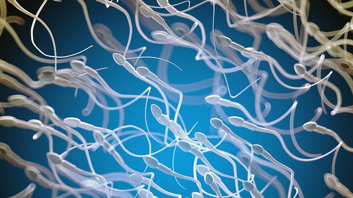 HPV Screening Crucial for Male Fertility and Urology Clinics