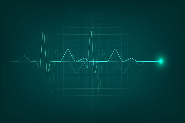 A Guide to Electrocardiogram (EKG) Testing: What to Expect