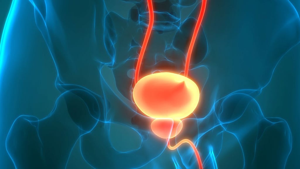 FDA Approves Gemtesa for Overactive Bladder in Men With BPH
