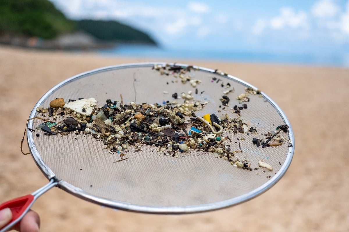 Ocean microplastics linked to cognitive decline in nearby residents