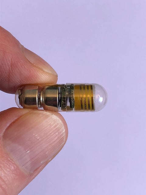 Pill-sized Device Tracks Breathing, Heart Rate From Inside the Body