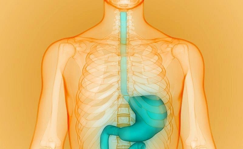 La FDA aprueba la eohilia para la esofagitis eosinofílica