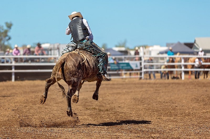 Rodeo Riders Risk Real Severe Injury