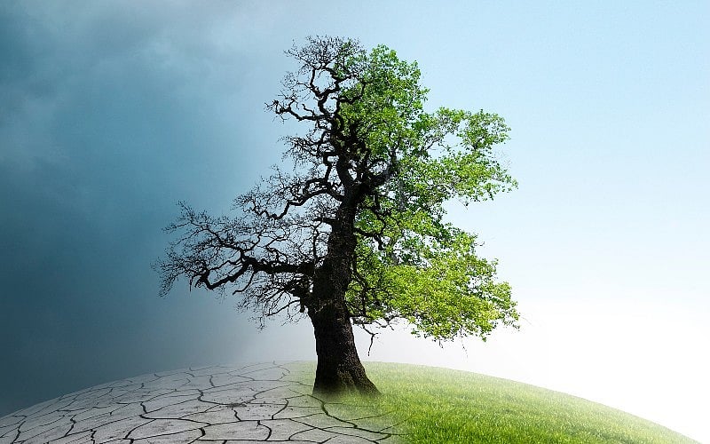 Recommendations Address Impact of Climate Change on Child Health