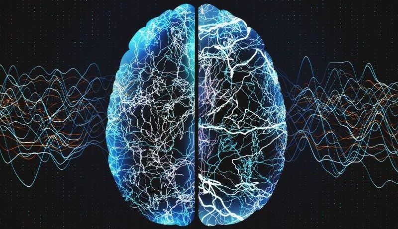 Structured Seizure Action Plan Beneficial for Adults With Epilepsy