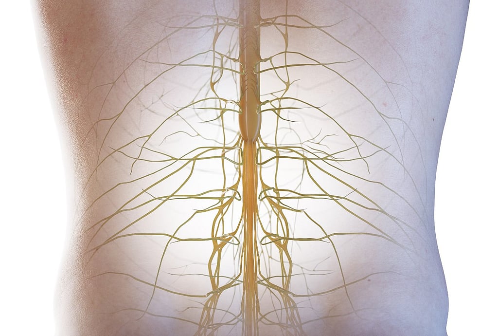 Understanding the Most Common Back Surgeries and Their Benefits