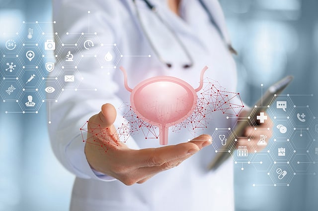 Ulcerative Hunner Lesions Can Characterize Bladder Pain, Infection
