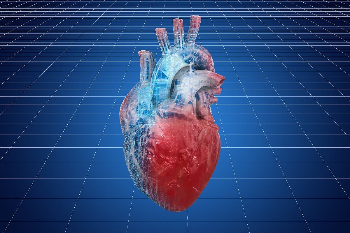 Understanding Irregular Heartbeat: Causes, Symptoms, and Treatments