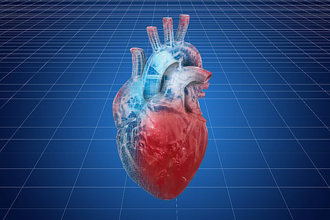 Understanding Irregular Heartbeat: Causes, Symptoms, and Treatments