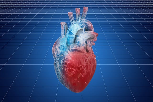 Understanding Heart Pacemakers: How They Work and Save Lives