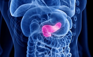 Pancreatitis: Causes, Symptoms, Diet & Treatment Explained