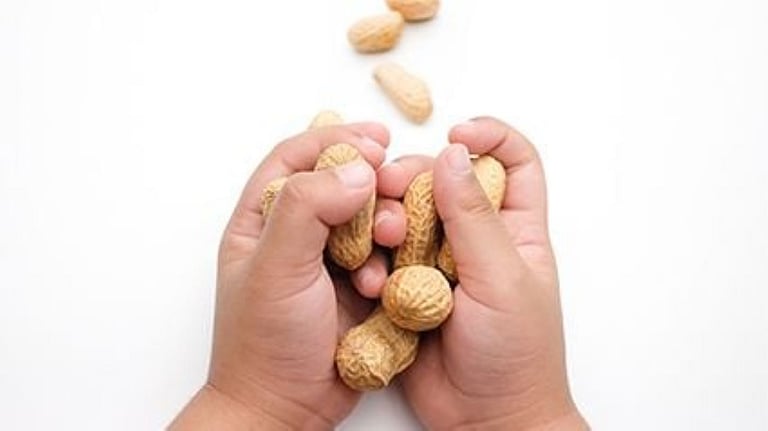 Peanut Allergy Risk Up in Siblings of LEAP Trial Participants