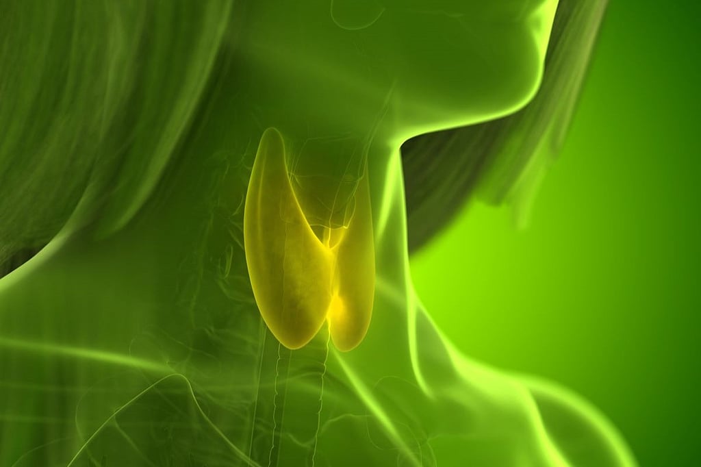 No Link Seen Between GLP-1 RA Use and Thyroid Cancer