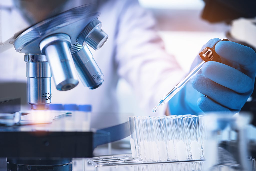 New Bird Flu Strain Detected in the U.S.