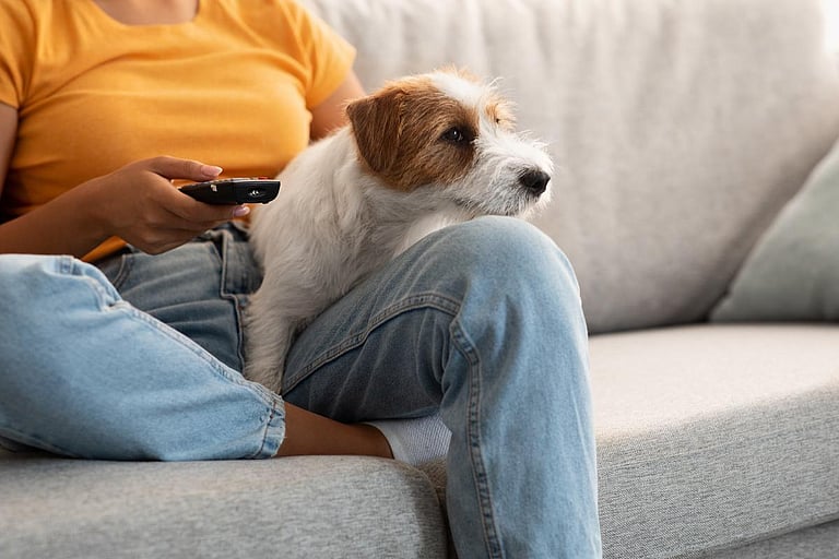 Dog Owners Feel Similar Grief Whether Pets Euthanized, Die Naturally