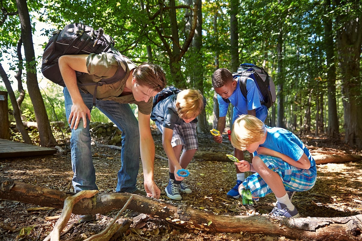 When Schools Give Kids Time in Nature, Behavior Issues Ease