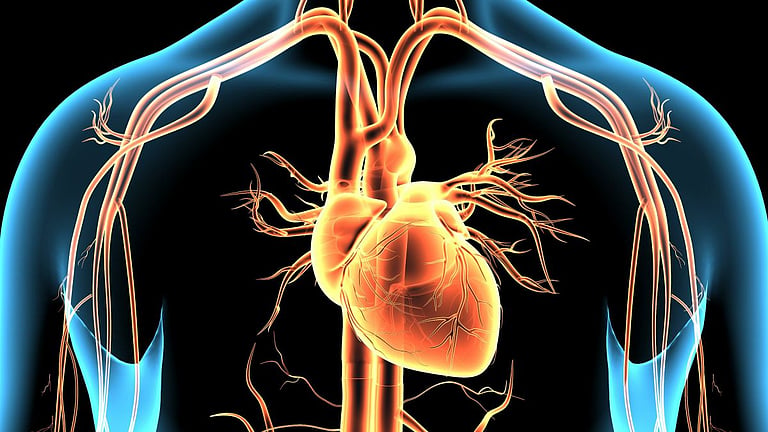 Novel Model Improves Risk Prediction for Hypertrophic Cardiomyopathy