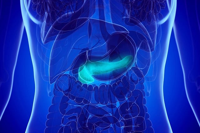 FDA OKs Noninvasive Optune Pax Device for Advanced Pancreatic Cancer