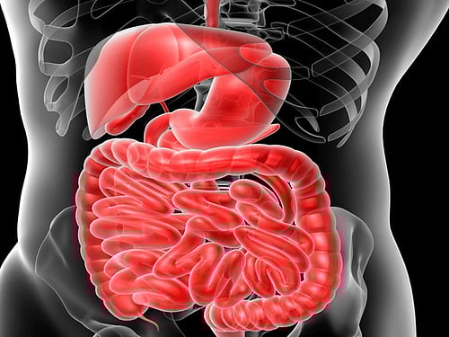 Understanding Indigestion: Causes, Symptoms and Treatments