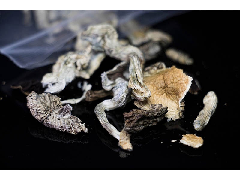 Young Adults Use of Hallucinogens Like Mushrooms, PCP Doubled in 5 Years