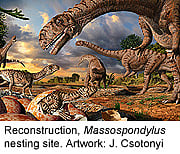 Oldest Known Dinosaur Nesting Site Found