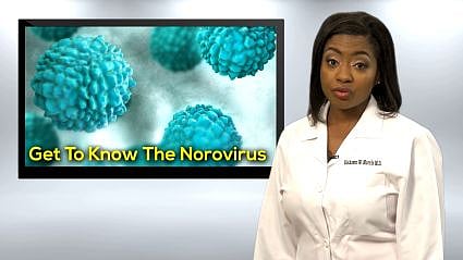 Get To Know The Norovirus
