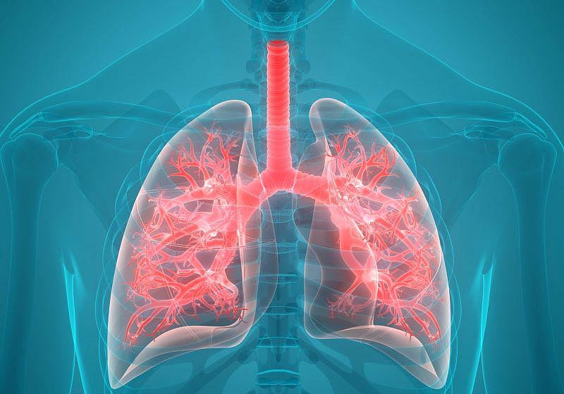 Asbestos Exposure: Symptoms, Health Effects & Treatment Explained