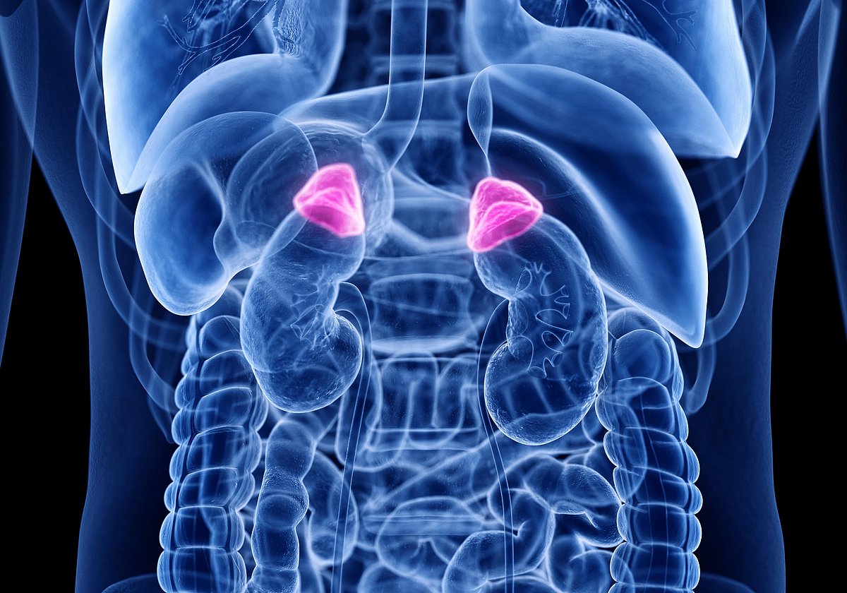Pulsatile Subcutaneous Pump Benefits Primary Adrenal Insufficiency: Study