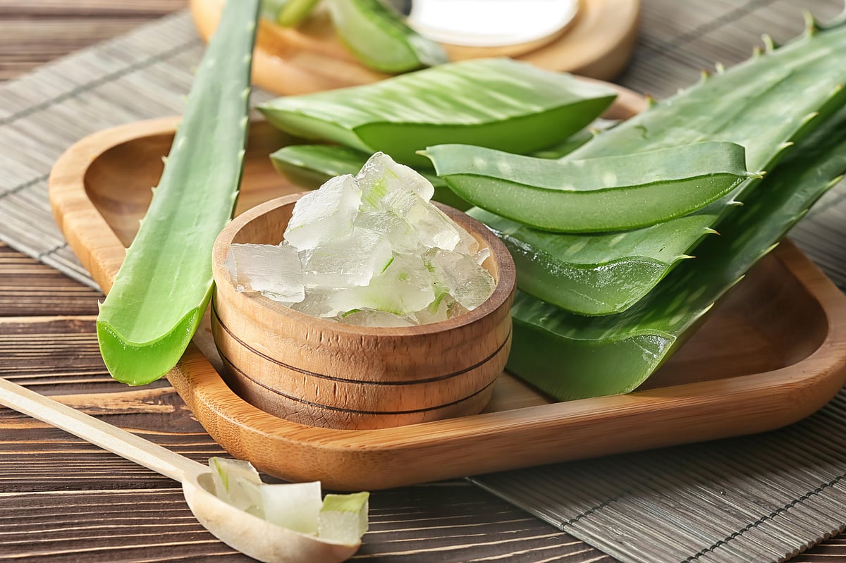 What Is Aloe Vera Good For? Benefits, Side Effects & Drug Interactions