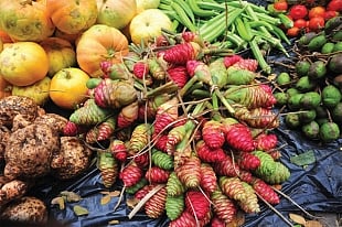 WHAT’S DECORATING YOUR MATOLI THIS YEAR?