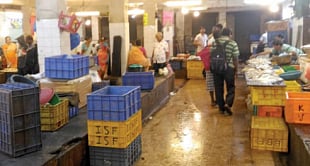 Vendors defy PMC order, begin sale in Ponda fish market