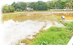 Wetlands: a plea for eco-friendly natural stone embankments