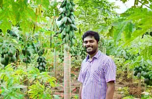 Studied to be an engineer but found success as a Goan farmer ...