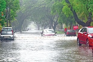 Cyclone has caused major damage in both districts: CM