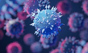 Omicron fear sinks in, no preventive action, yet