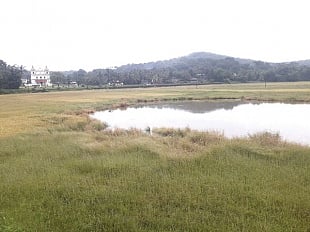 Biodiversity heritage site in Curtorim: Board invites inputs