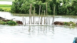 450 Shiroda farmers may lose their entire crop for next year, as their ...