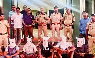 Total 12 arrested, Criminal Tarzan Parsekar to be booked under ...