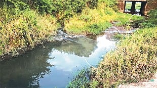Poorly-managed Sewage Plant, leaky sewerage network cause for ...