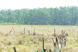 THE FARMING OF HOPE: A revival movement to transform Goan farms from ...