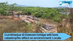 Cumbharjua-St Estevam bridge to have effect on environment