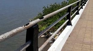 Patto bridge railing broken,rusted. Authorities painted it instead of ...