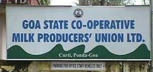 Irregularities unearthed; seven Goa Dairy BoDs, several others disqualified
