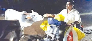 Vasudev ‘Daada’ Naik is Ponda’s ‘Motorcycle Samaritan’ for stray animals