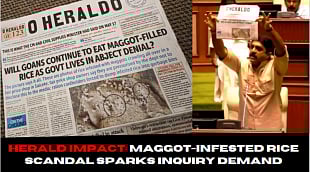 Herald Impact: Maggot-Infested Rice Scandal Sparks Inquiry Demand